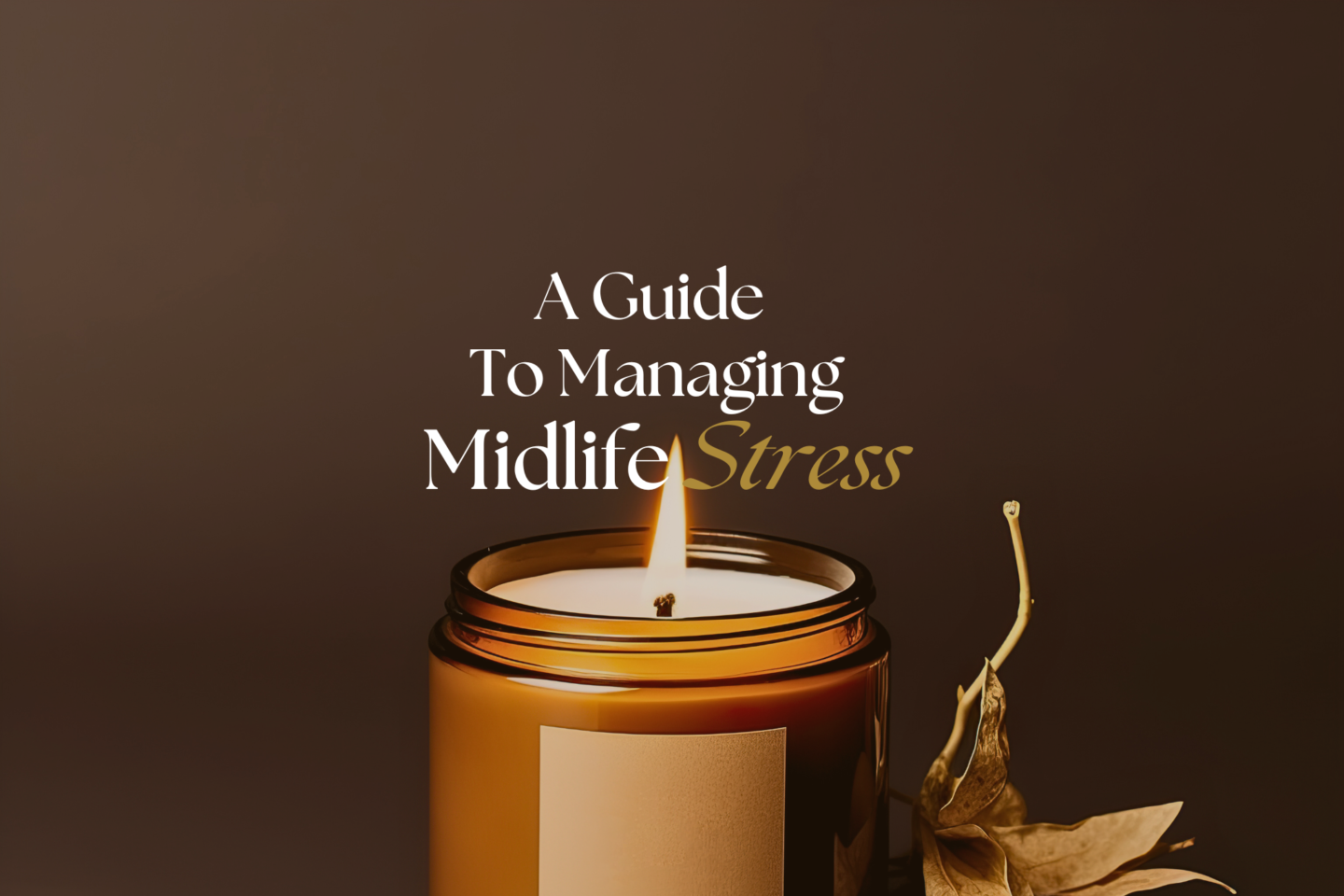 New E-Book: A Guide To Managing Midlife Stress - Your Midlife Maven